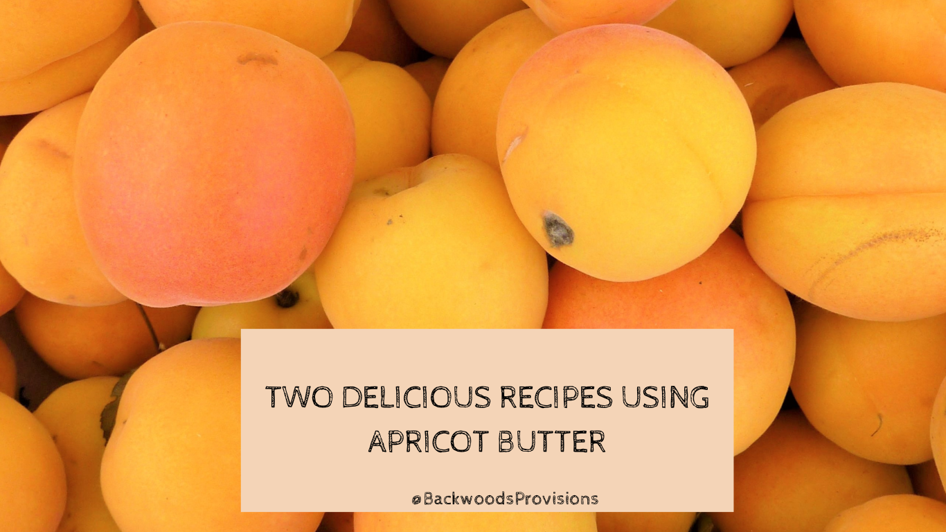 Two Delicious Recipes Using Apricot Butter – Backwoods Provisions