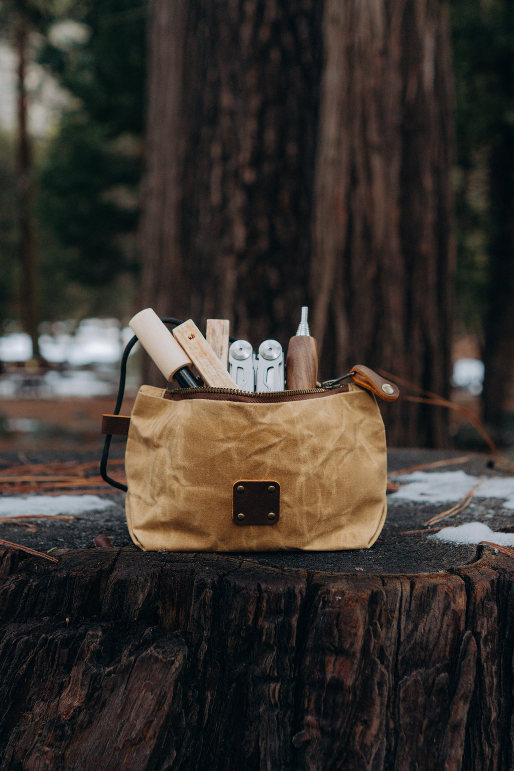 Traveling Essentials Bag – Backwoods Provisions